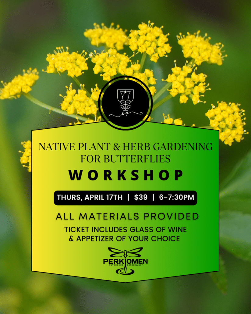 Workshop: Native Plant & Herb Gardening for Butterflies w/ Perkiomen Watershed Conservancy ...