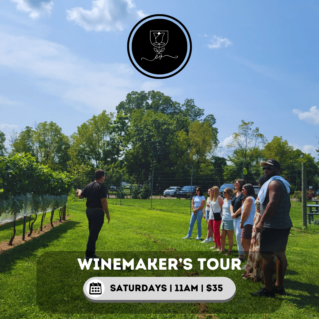 Winemaker's Tour - Evansburg Vineyard